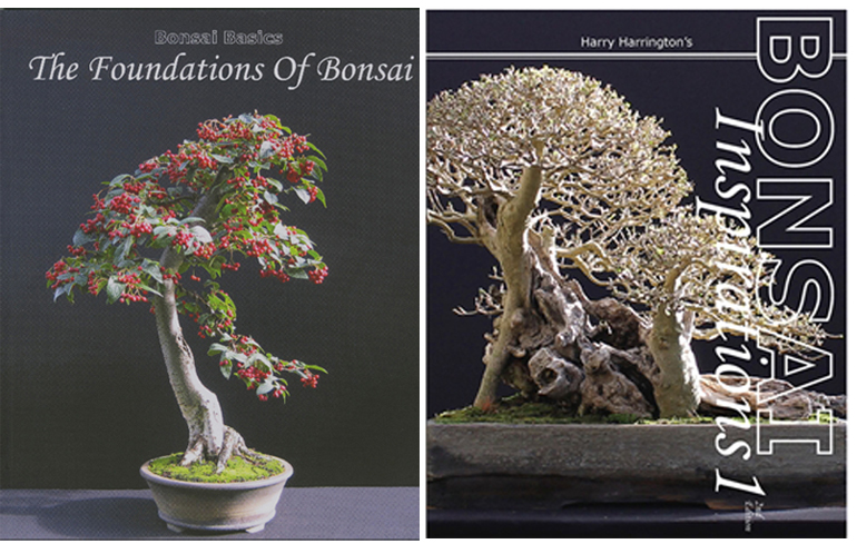 A Bonsai Artist on a Mission – Stone Lantern