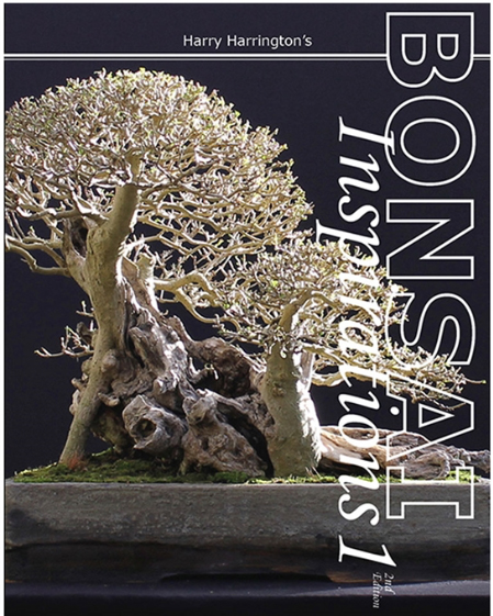 A Bonsai Artist on a Mission | Bonsai Bark