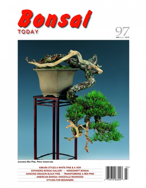 Bonsai Today Back Issues 55% off | Bonsai Bark