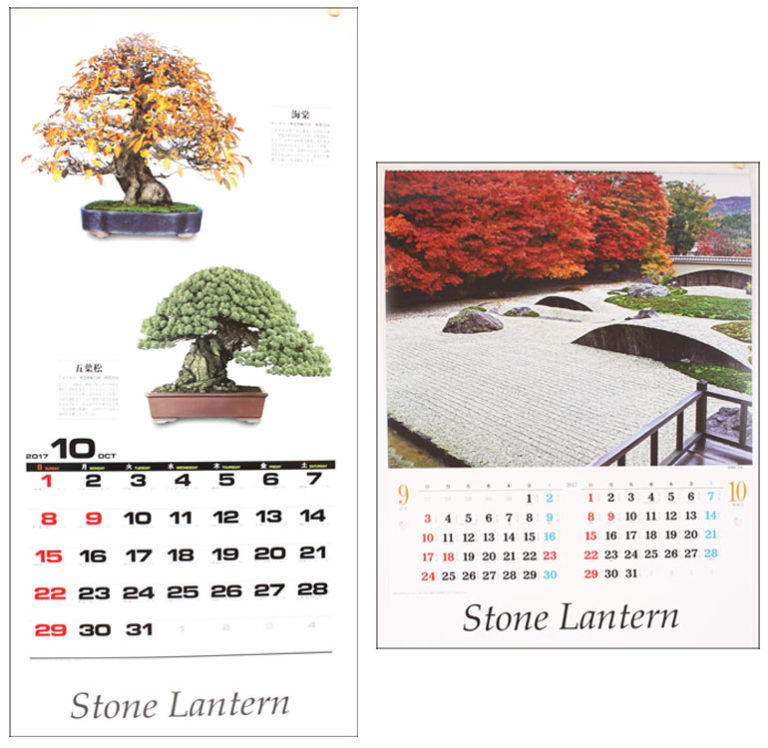 Bonsai Bark | Promoting and Expanding the Bonsai Universe | Page 80