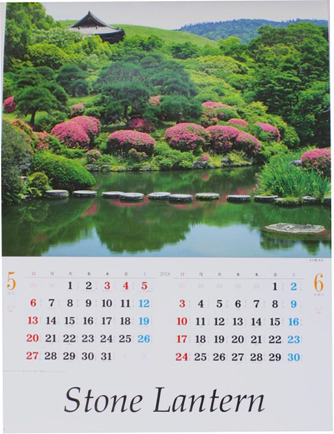 Japanese Maple Bonsai with a Natural Look | Bonsai Bark