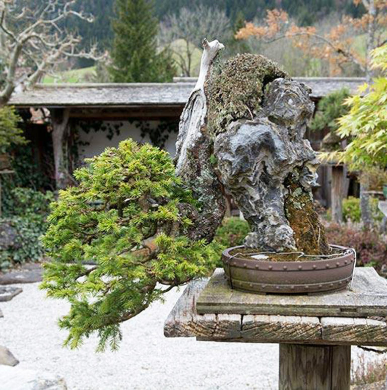 Brilliant Backyard Bonsai Garden in an Enchanted Setting – Stone Lantern