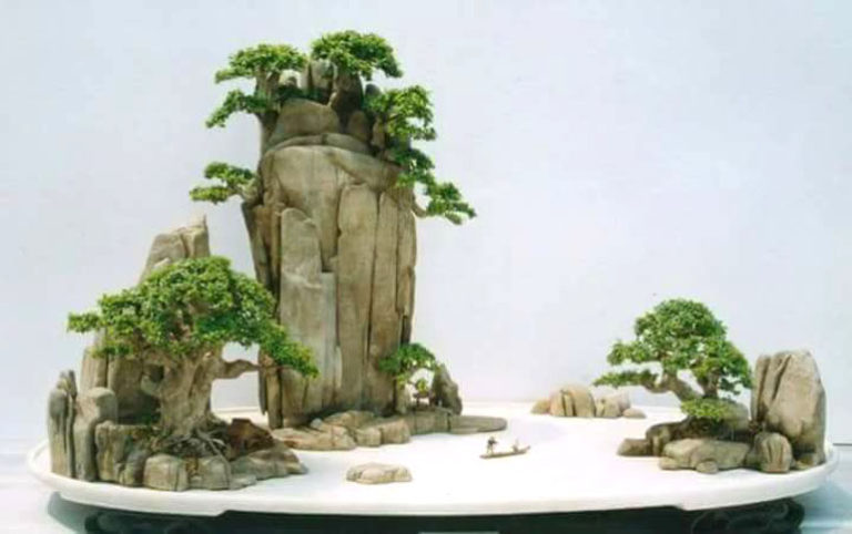 Simplicity, Elegance & More than a Little Skill… | Bonsai Bark